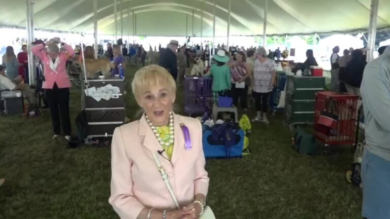 Westminster 2022 – Closet Confidential – Elaine Lessig takes on Day 2 at the 146th Westminster ...